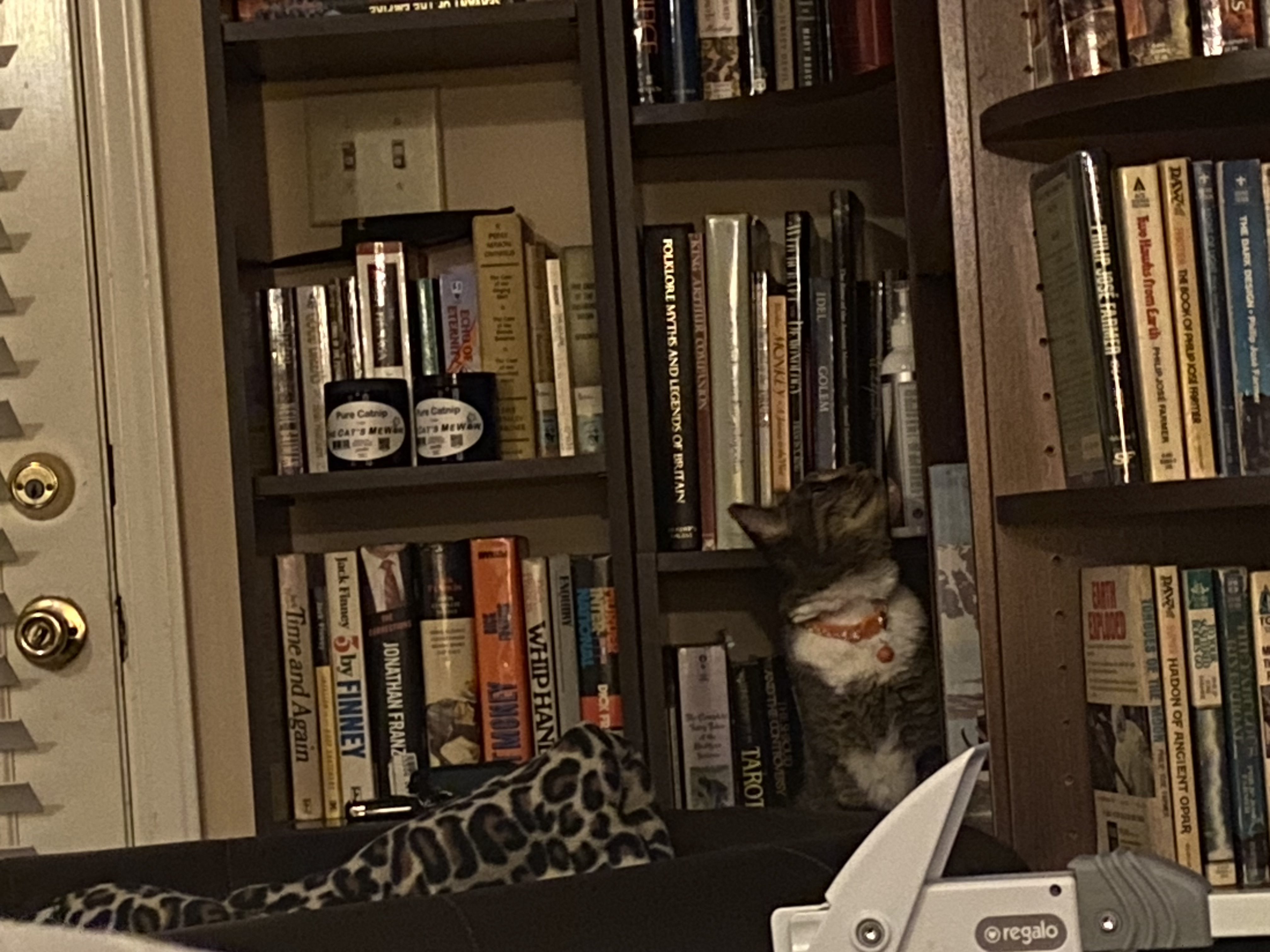 Wisp selects a book | Fraser Sherman's Blog