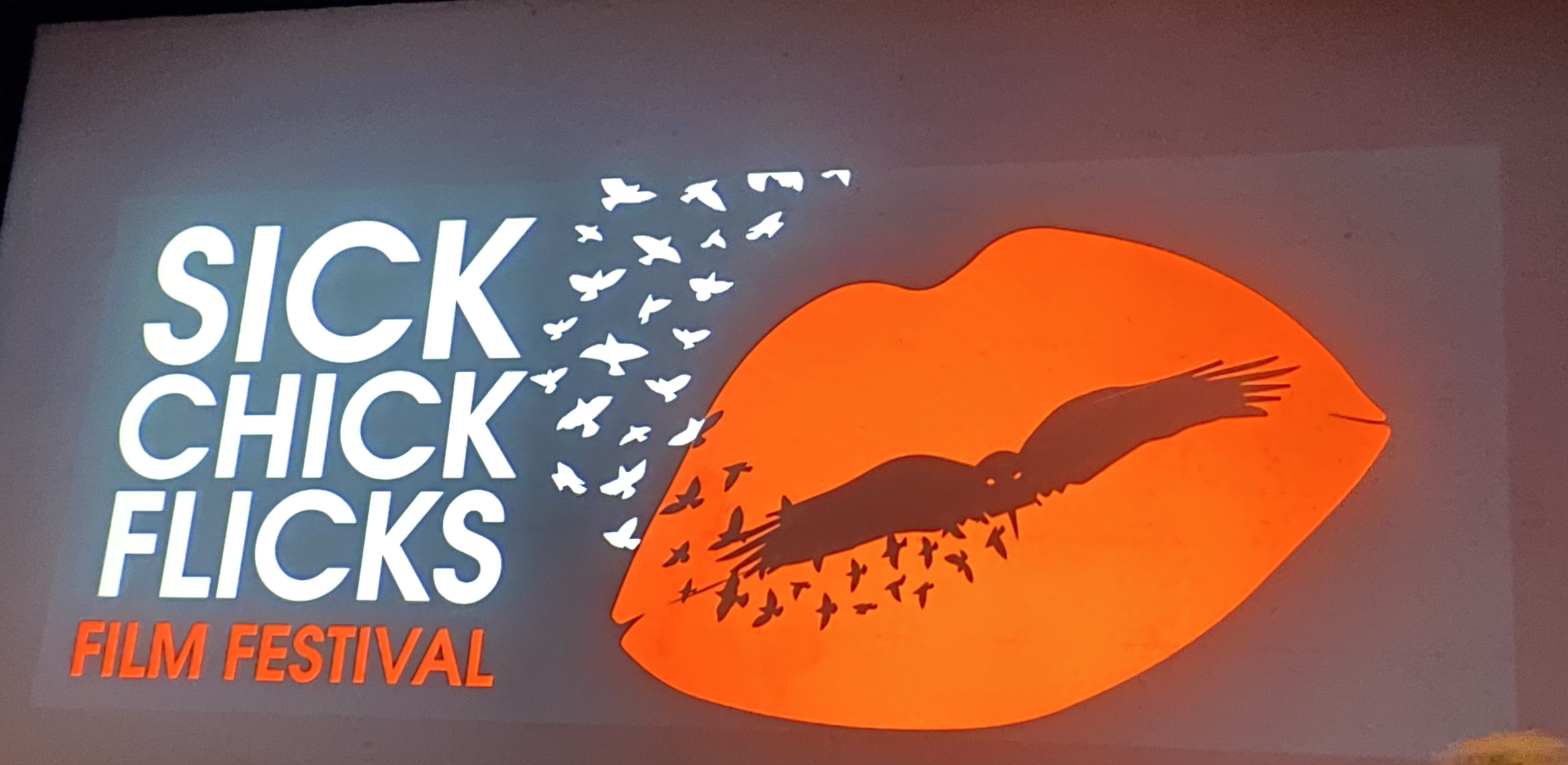 Sick chick flicks are a kick! | Fraser Sherman's Blog