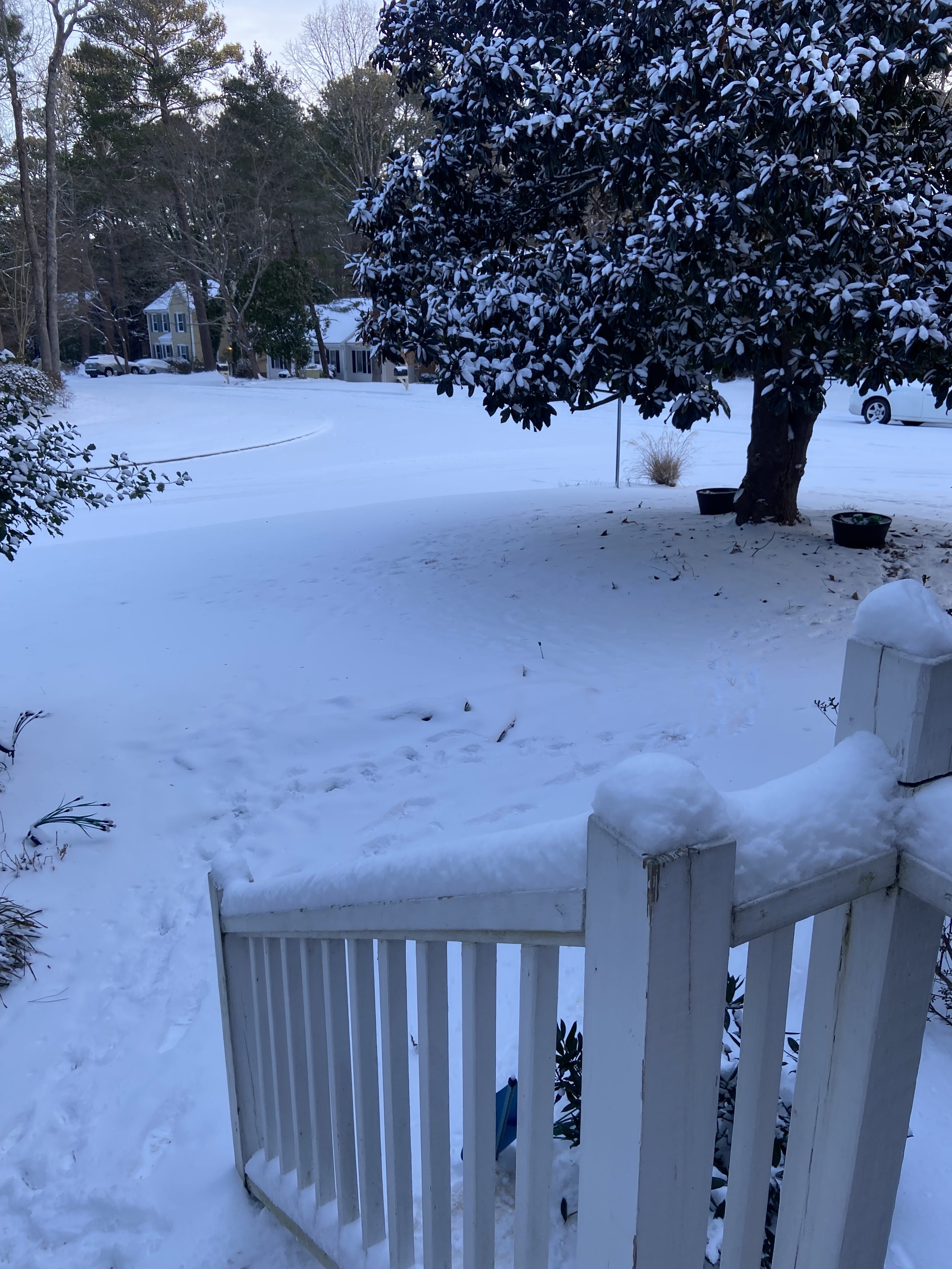 Why yes, we did get snowed in again | Fraser Sherman's Blog